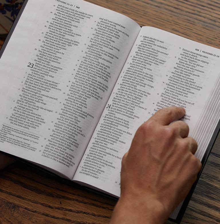 NET Bibles - Thomas Nelson Bibles