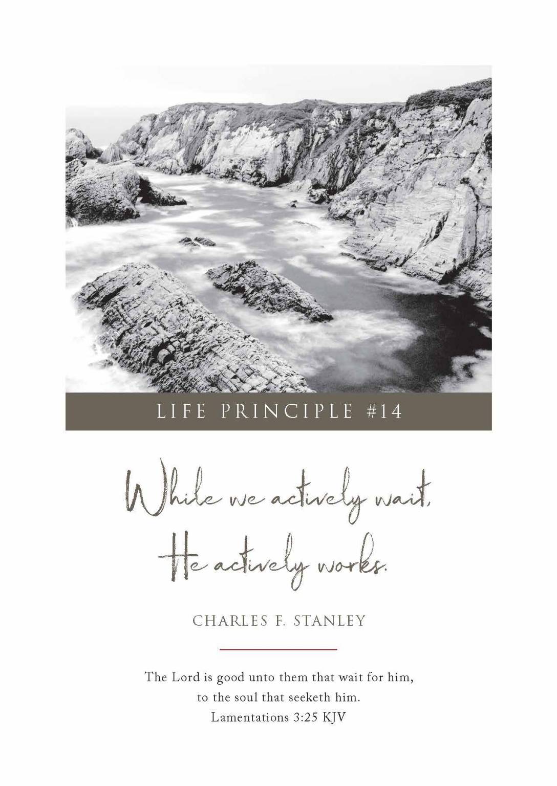 Charles F. Stanley Life Principles Bible - Thomas Nelson Bibles