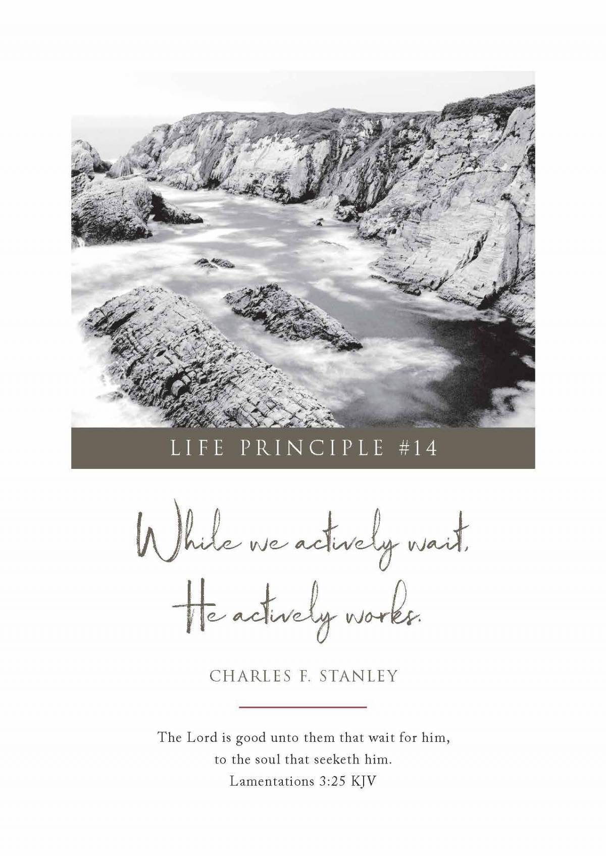 Charles F. Stanley Life Principles Bible - Thomas Nelson Bibles