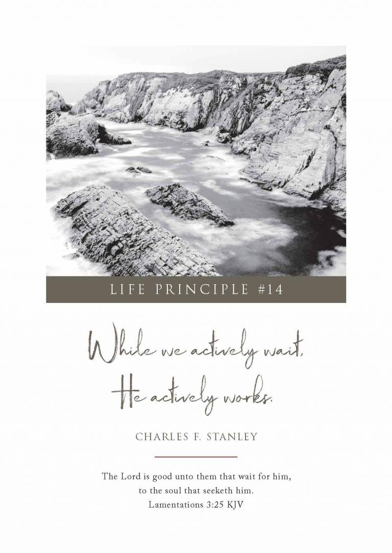 Charles F. Stanley Life Principles Bible - Thomas Nelson Bibles