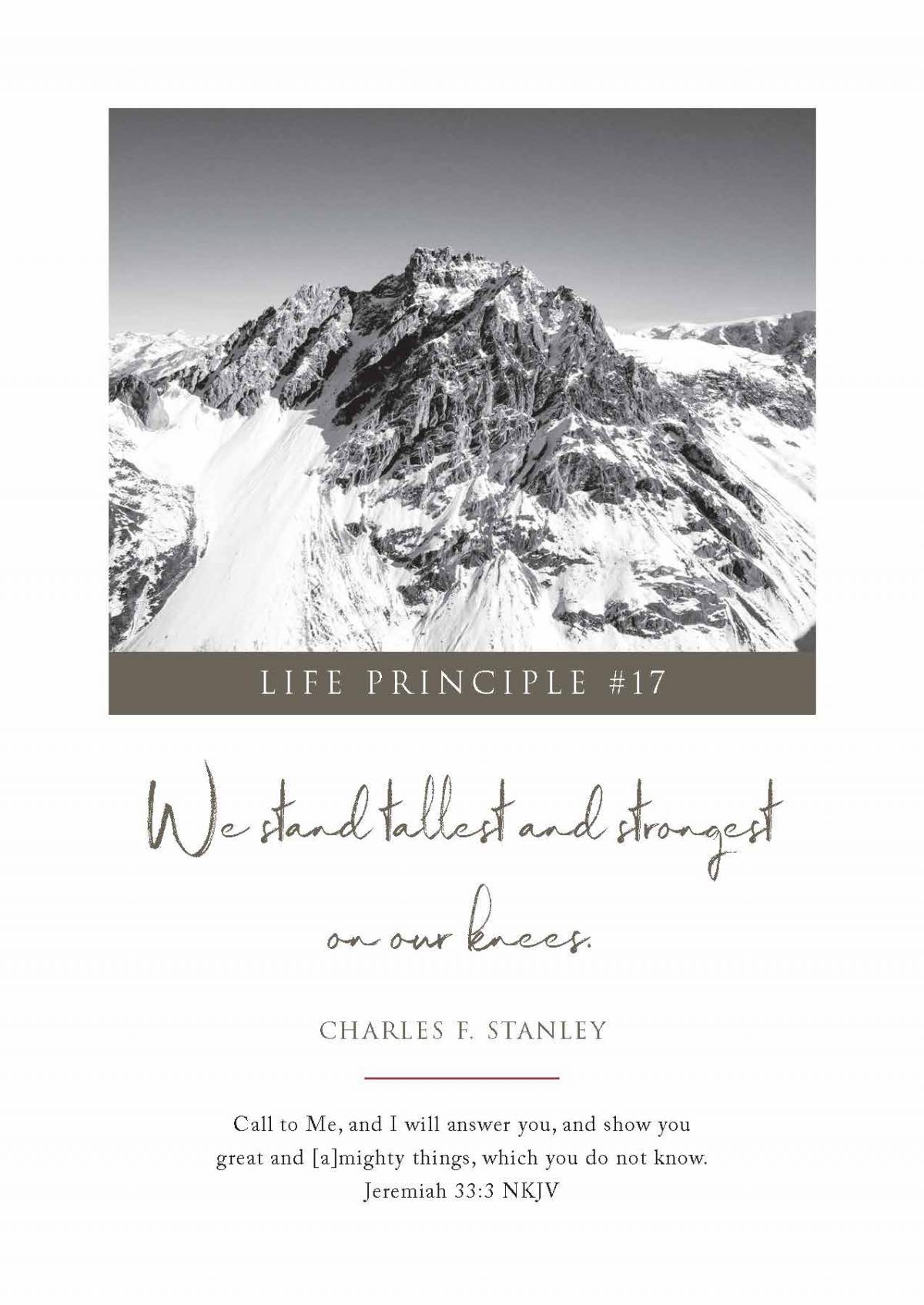 Charles F. Stanley Life Principles Bible - Thomas Nelson Bibles