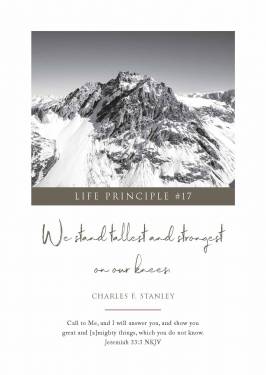 Charles F. Stanley Life Principles Bible - Thomas Nelson Bibles