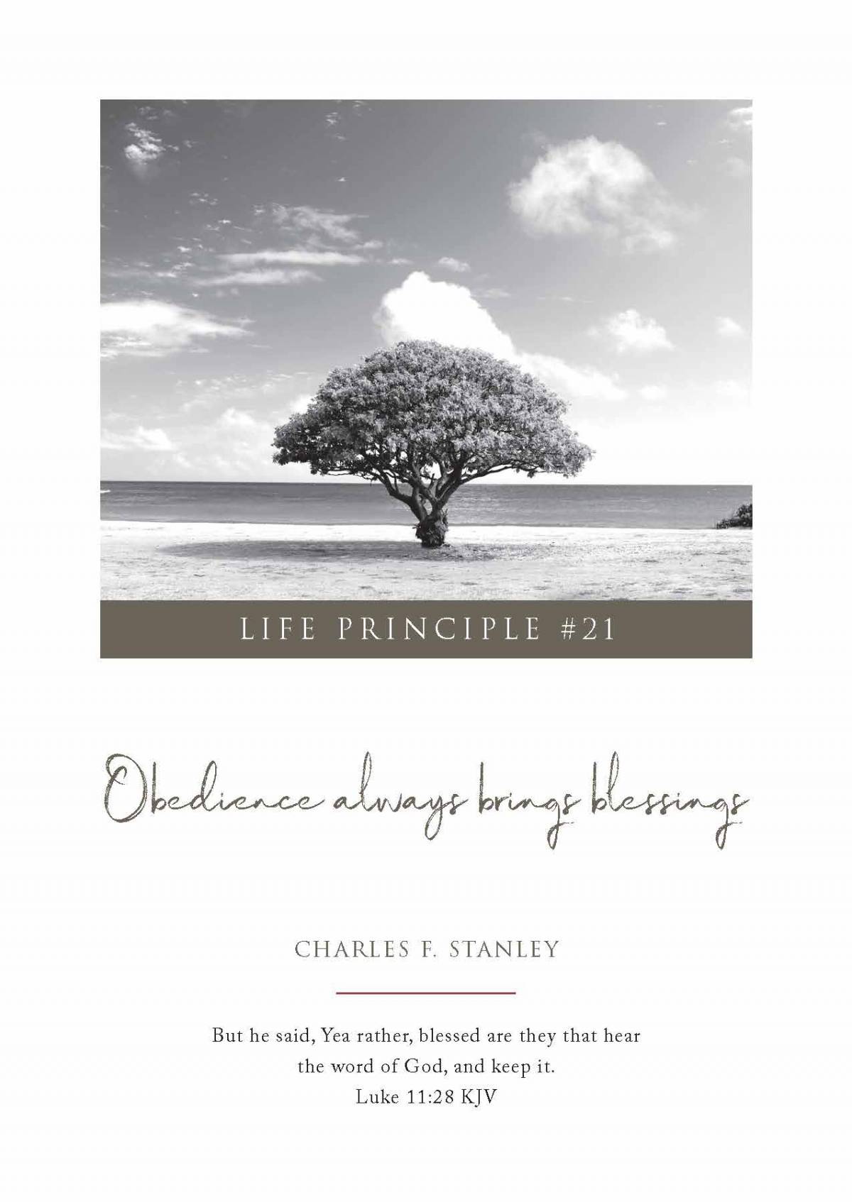 Charles F. Stanley Life Principles Bible - Thomas Nelson Bibles