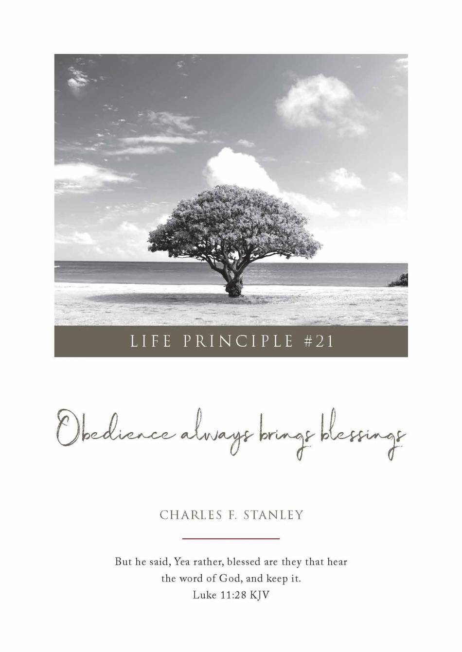 Charles F. Stanley Life Principles Bible - Thomas Nelson Bibles