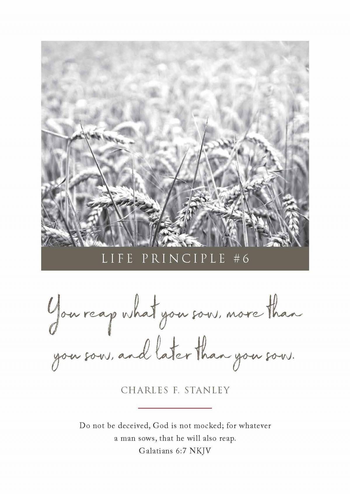 Charles F. Stanley Life Principles Bible - Thomas Nelson Bibles