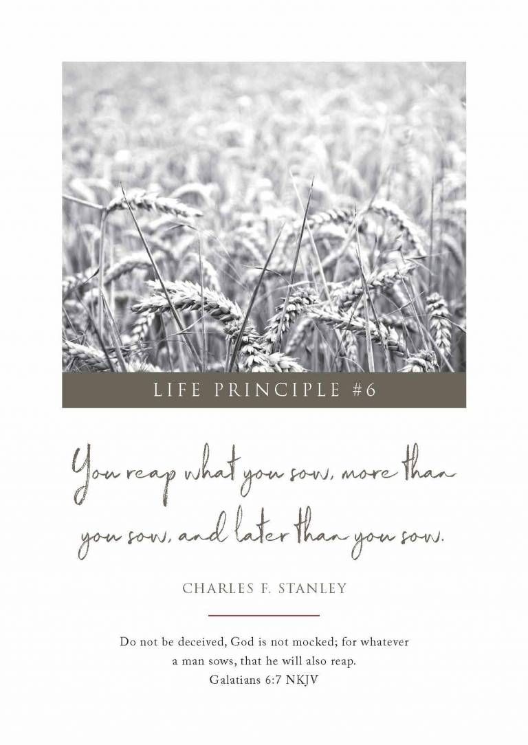 Charles F. Stanley Life Principles Bible - Thomas Nelson Bibles