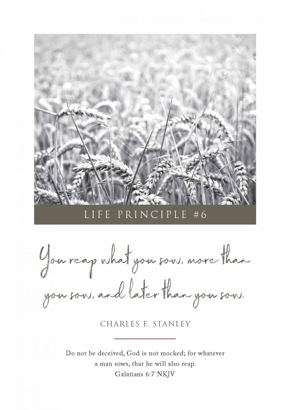 Charles F. Stanley Life Principles Bible - Thomas Nelson Bibles