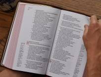 New Century Version - Thomas Nelson Bibles | About the NCV Bible