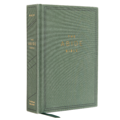 The Abide Bible - Thomas Nelson Bibles | John 15:4