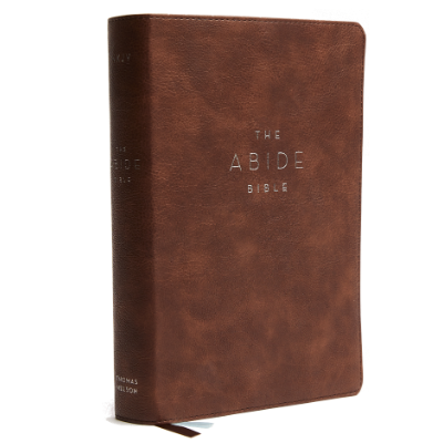 The Abide Bible - Thomas Nelson Bibles | John 15:4