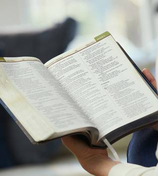 The Open Bible, NIV - Thomas Nelson Bibles