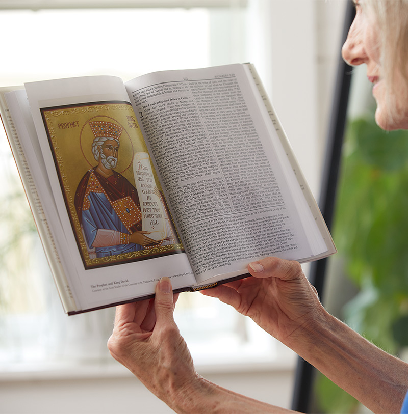 Orthodox Study Bible Thomas Nelson Bibles