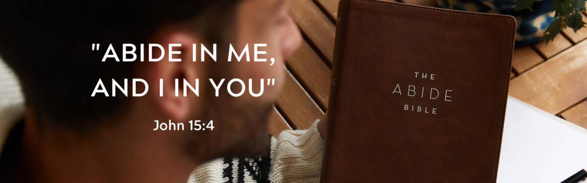 Abide Bible - Day 16 in The Gospel of John - Thomas Nelson Bibles