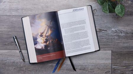 Timeless Truths Bible - Thomas Nelson Bibles