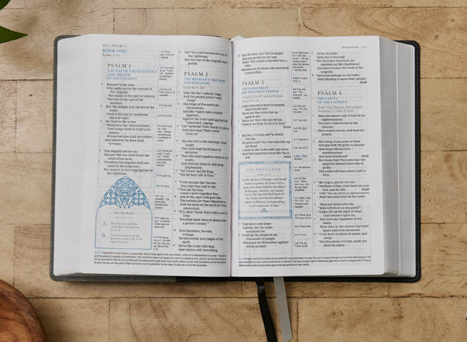 Alexander Maclaren Study Bible - Thomas Nelson Bibles