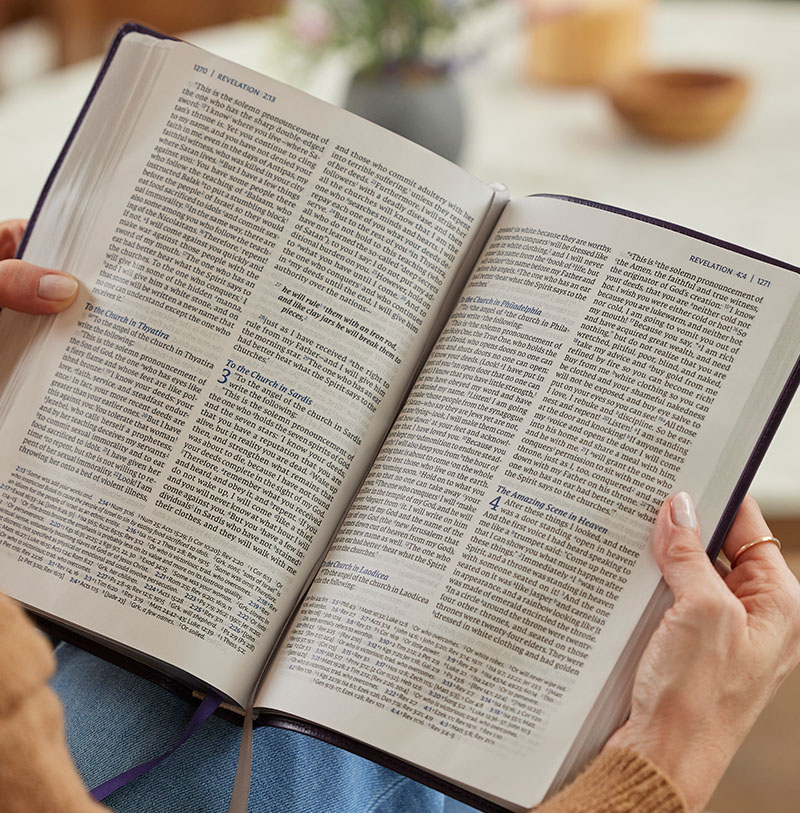 NET Thinline Reference Bible, Large Print - Thomas Nelson Bibles